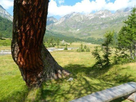 Da Ponte Campo (Varzo, San Domenico) all'Alpe Veglia (Rifugio CAI di ...