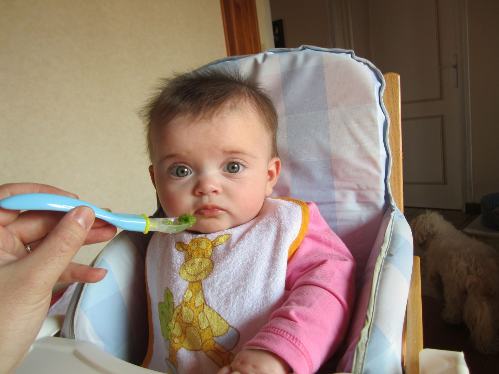 ou est Charlie ? - LAC D faits