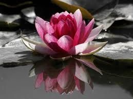 MAELLE MAGNETISEUSE A ST-MALO ATTENUE VOTRE ACNE - MAGNETISEUR-SAINT ...