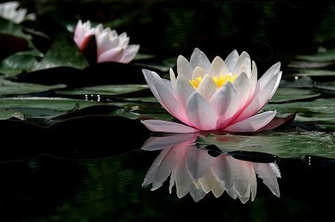 Comment faire face à l’adversité - optim life's Développez votre plein ...